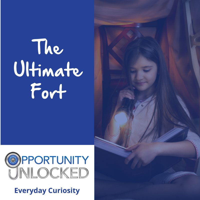 Leveraging curiosity to unlock opportunity | Opportunity Unlocked